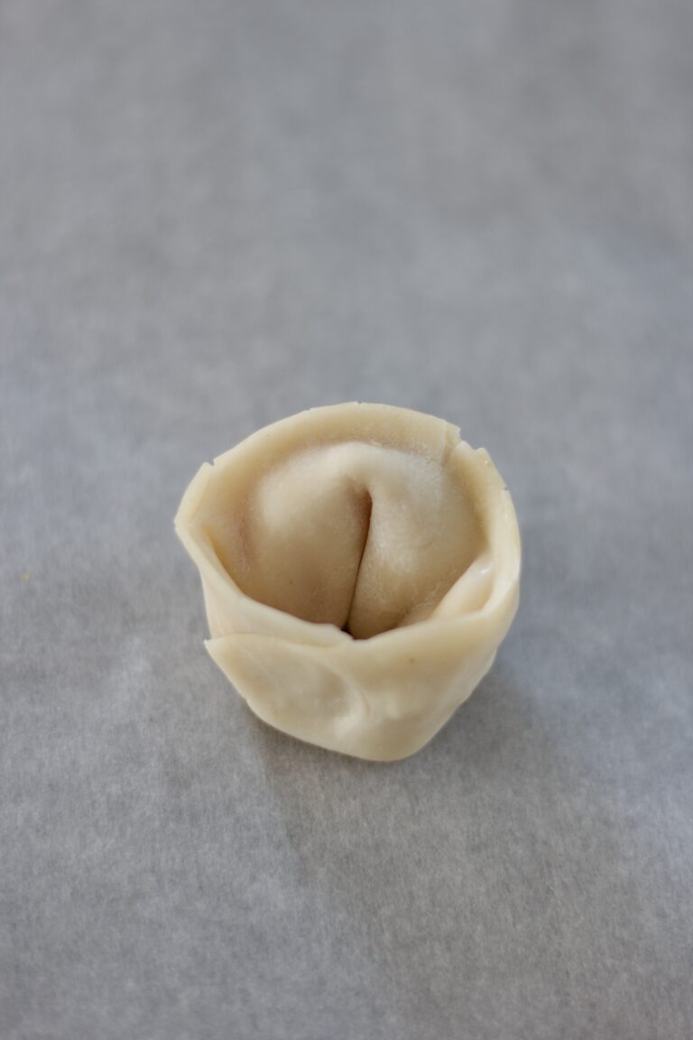 steamed chicken dumplings - The Culinary Chase