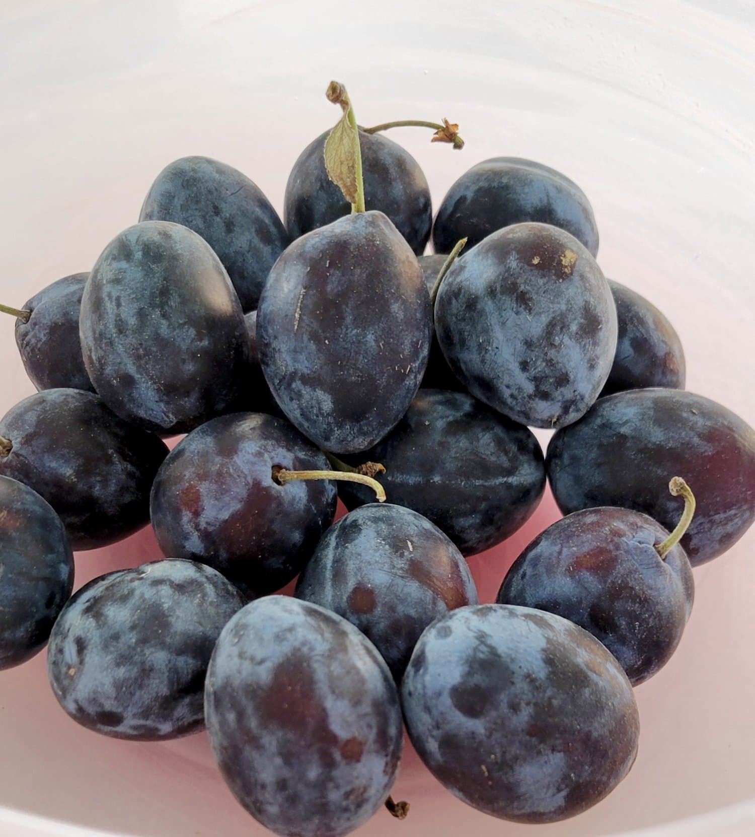 plum jelly - The Culinary Chase